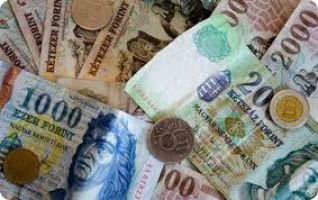 LABIBO-MED Kft. (Tatabánya)